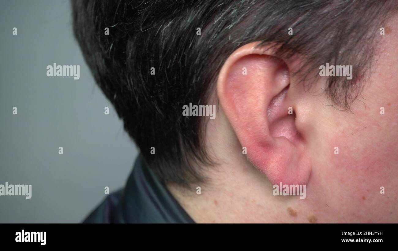 Wiggling ears hi-res stock photography and images - Alamy