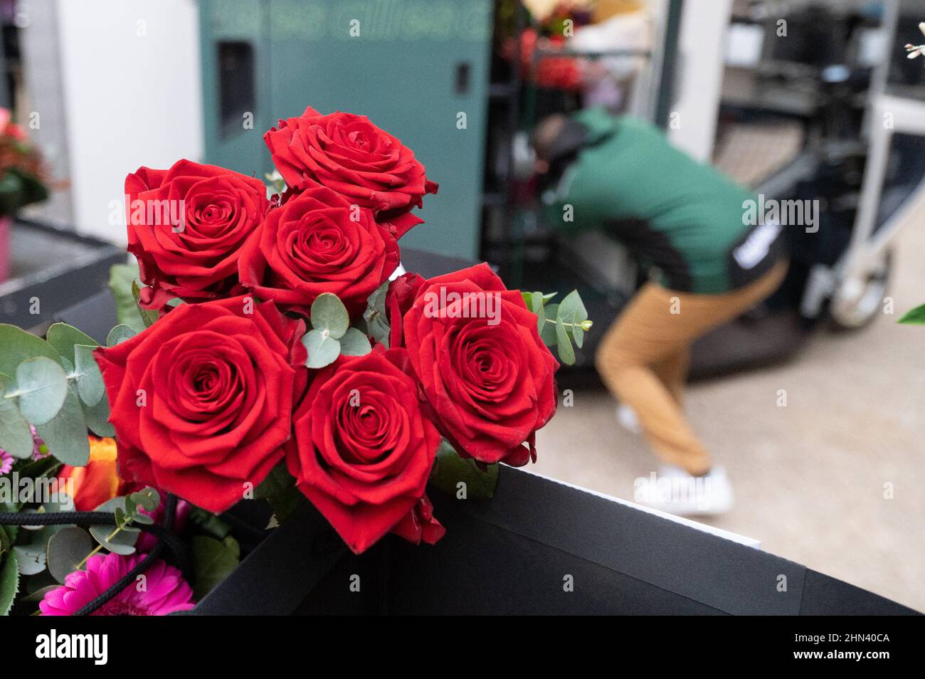 14 February 2022, Hessen, Frankfurt/Main: A bouquet of red roses stands ...