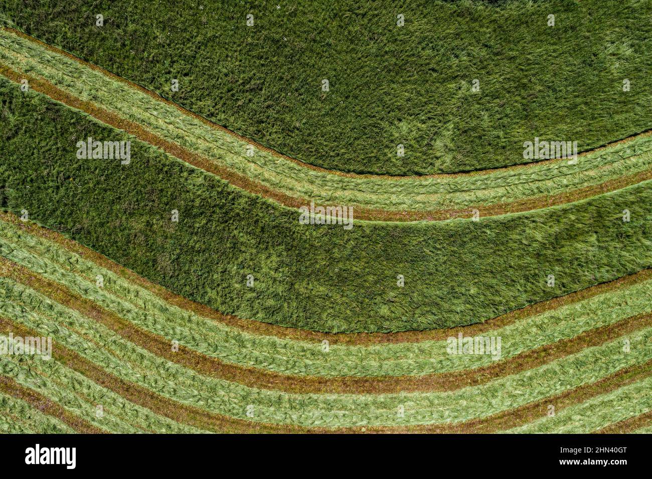 Crop rows from above hi-res stock photography and images - Alamy