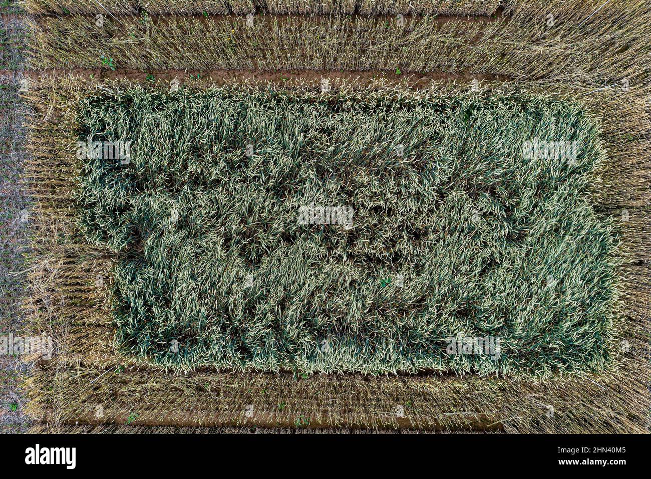 Drone patch hi-res stock photography and images - Alamy