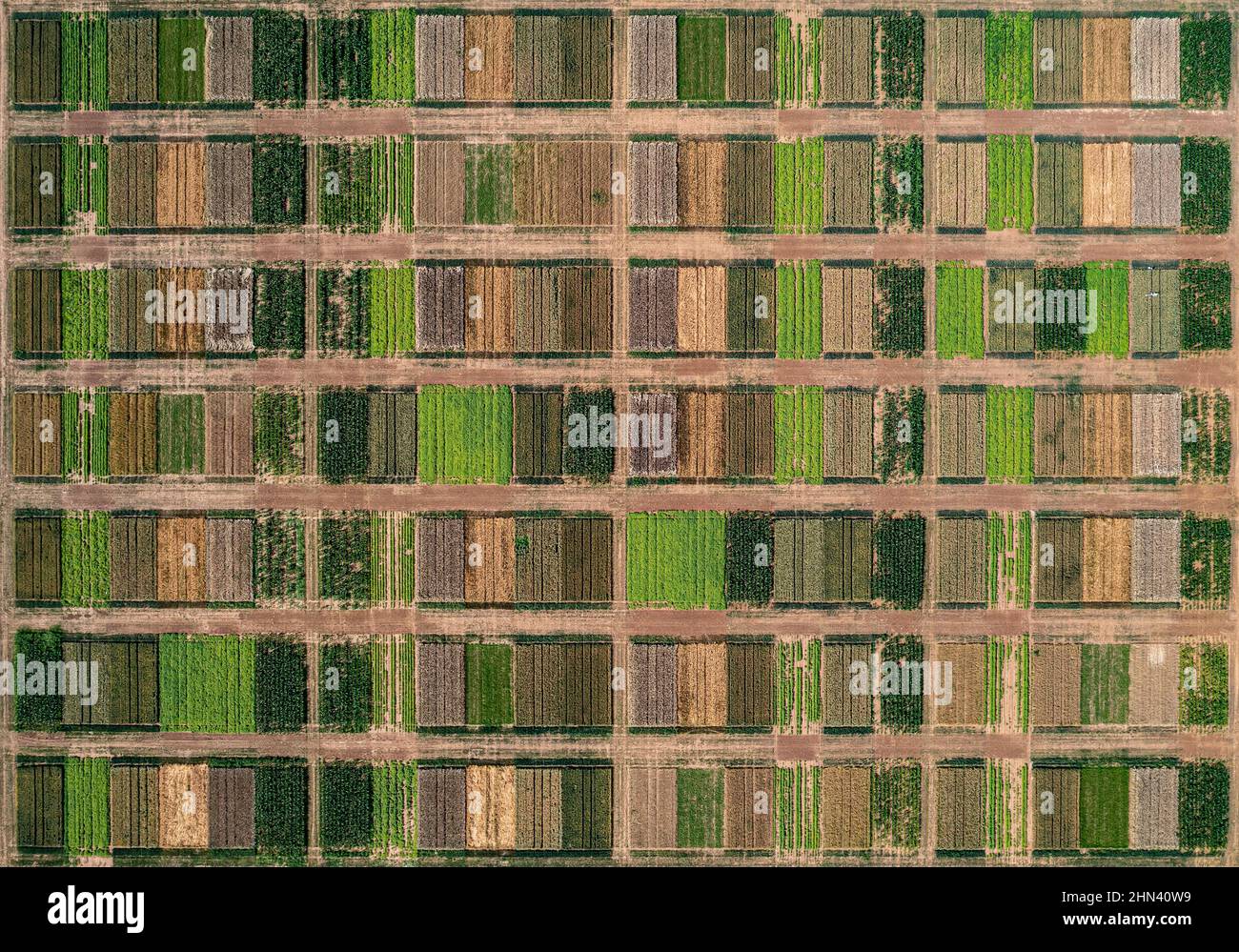 Aerial drone POV green and brown crops forming pattern Stock Photo - Alamy