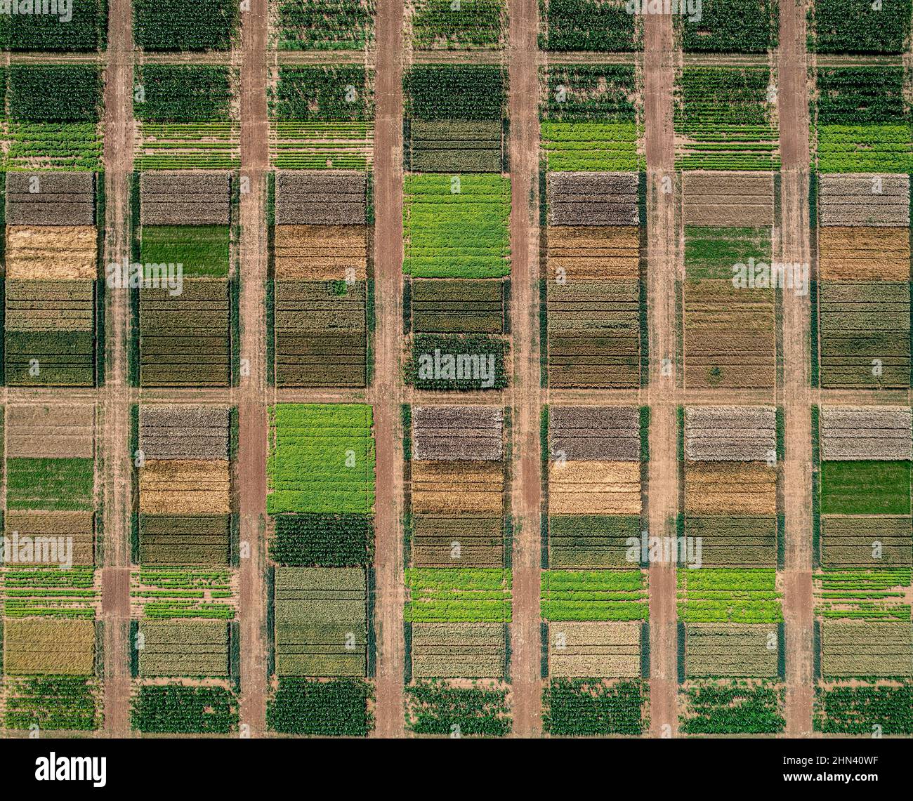 Brown crop hi-res stock photography and images - Alamy