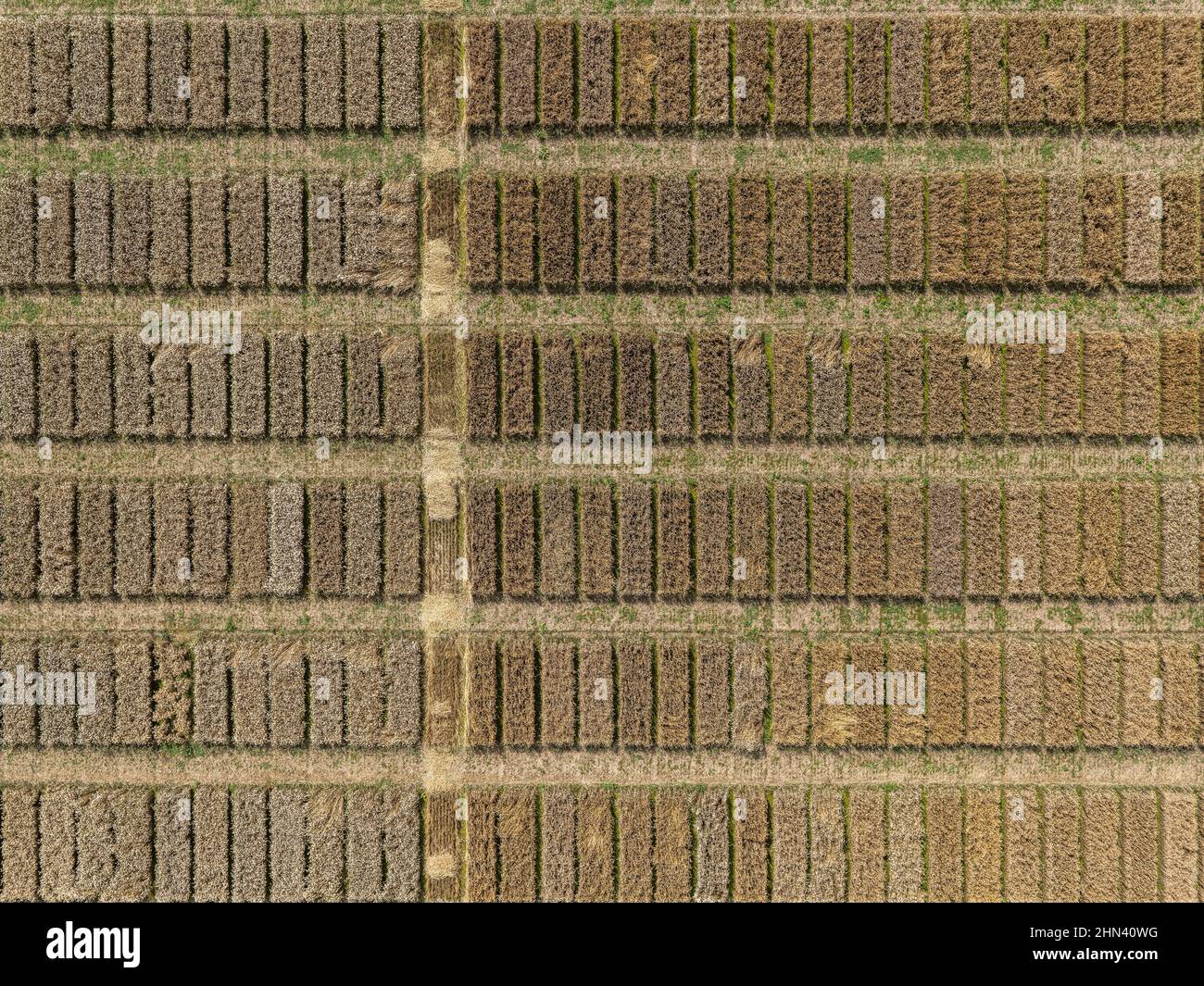 Field brown patches hi-res stock photography and images - Alamy