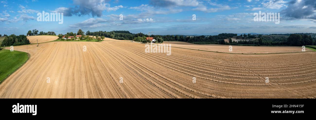 Idyllic panorama of harvested golden hay field on farm Stock Photo - Alamy