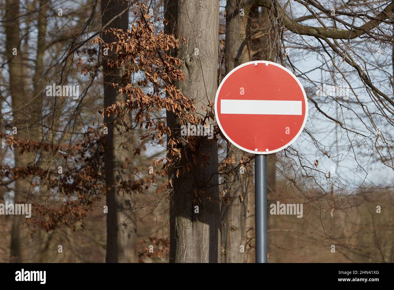 Sign entry into the one-way street forbidden, trees in the background ...