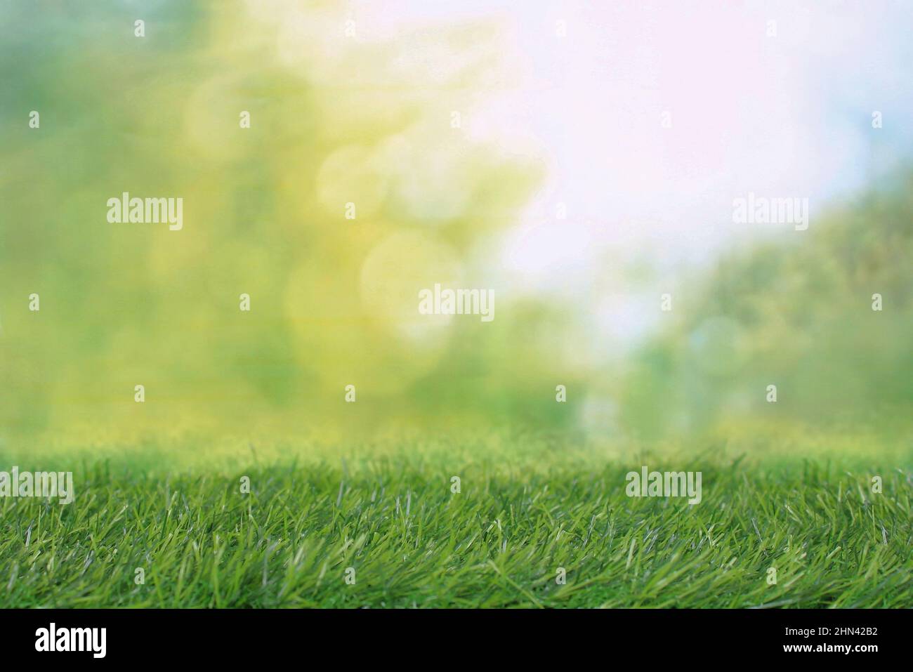 Green grass and blurry background. Bokeh effect, sunny morning ...