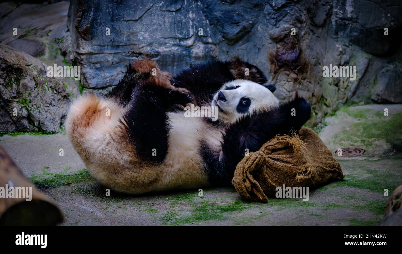 February 14, 2022, Beijing, Beijing, China: February 7, 2022, Beijing ...