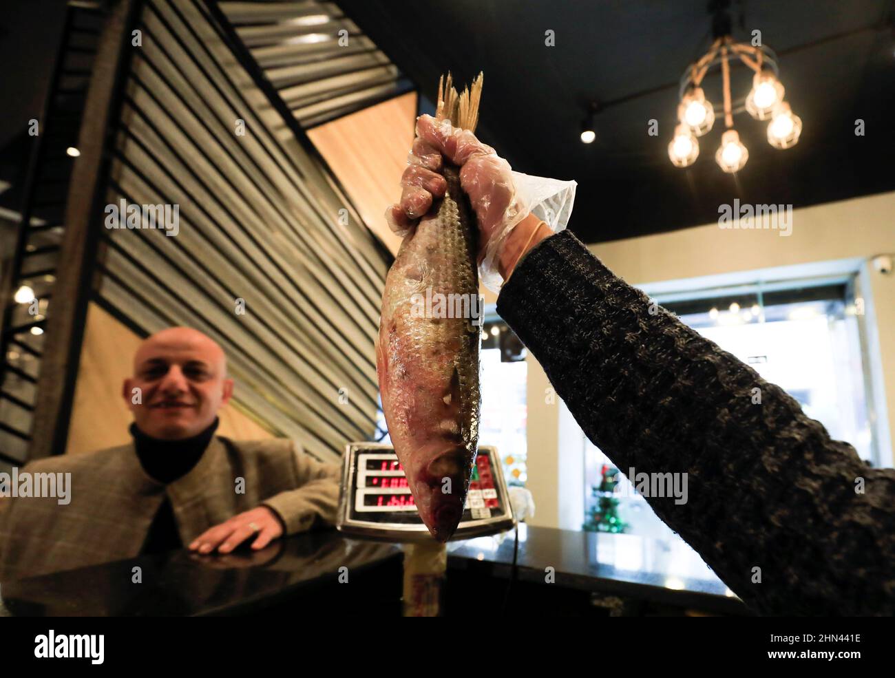 City of mansoura hi-res stock photography and images - Alamy