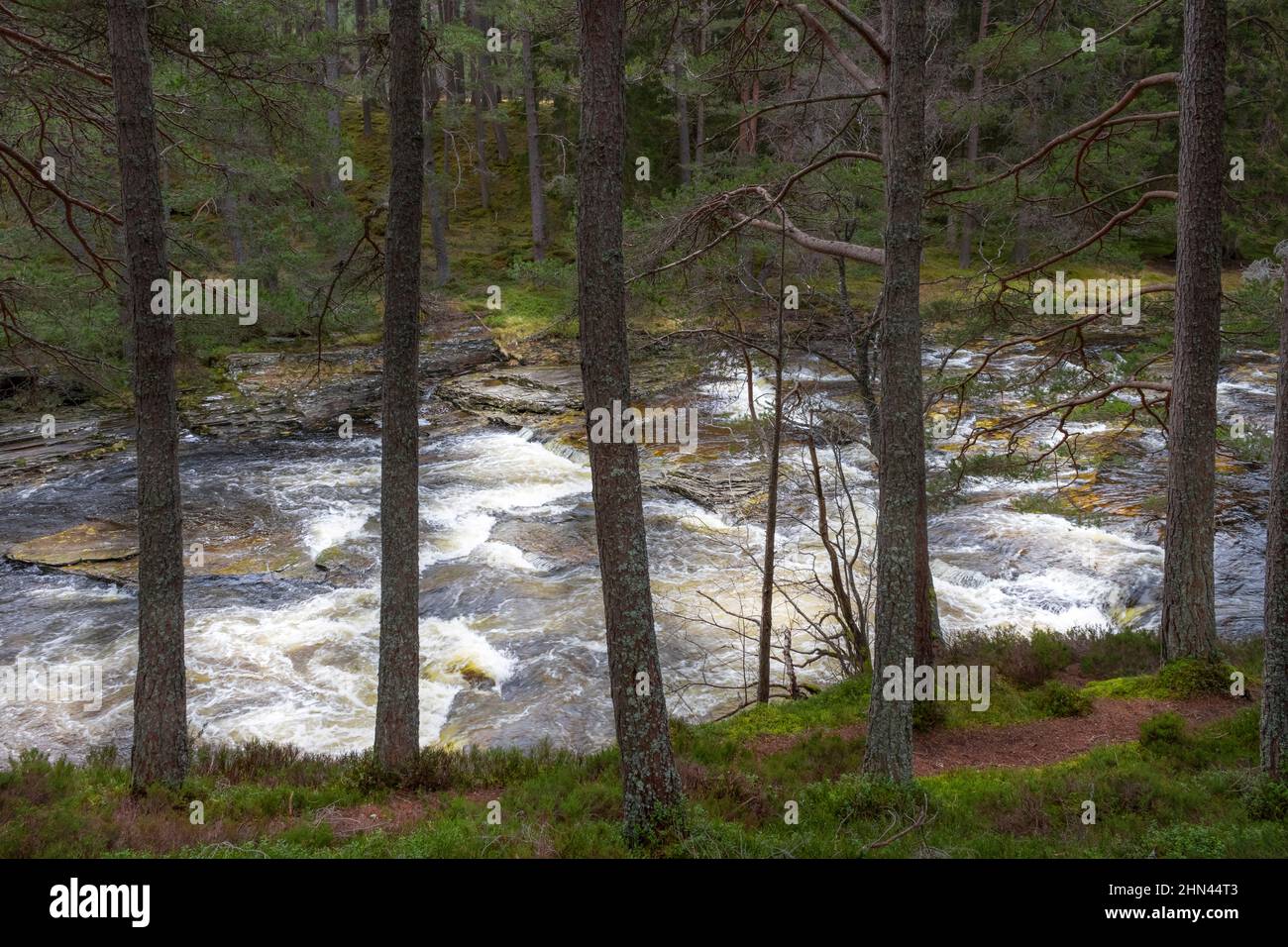 LINN OF DEE BRAEMAR SCOTLAND RIVER DEE WHITE WATER RAPIDS AND FOREST OF ...