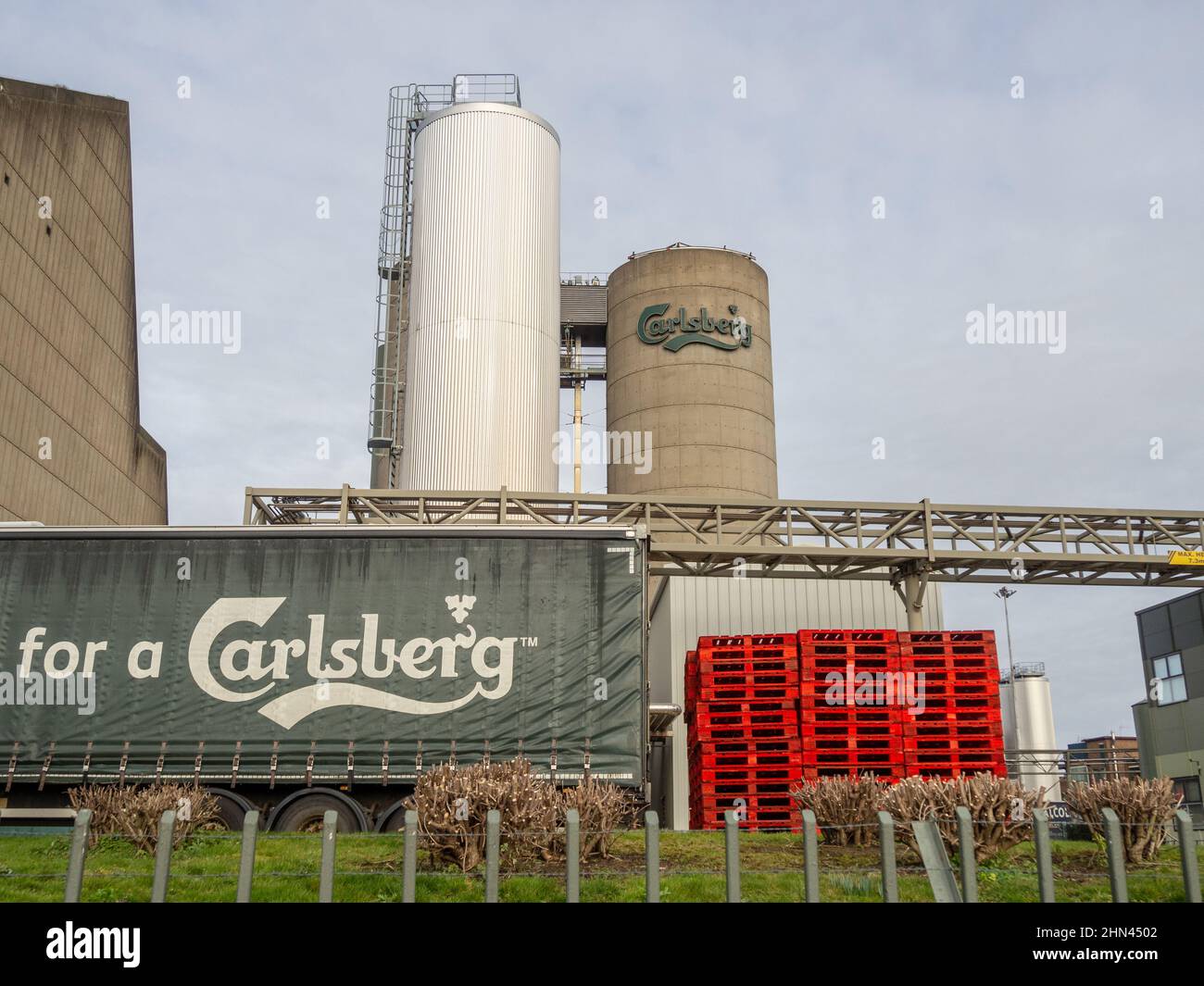 Carlsberg Brewery on the banks of the River Nene, Northampton, UK Stock ...