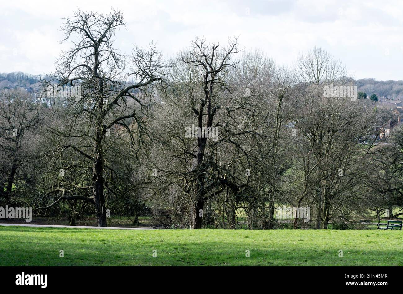 Elmdon park hi-res stock photography and images - Alamy