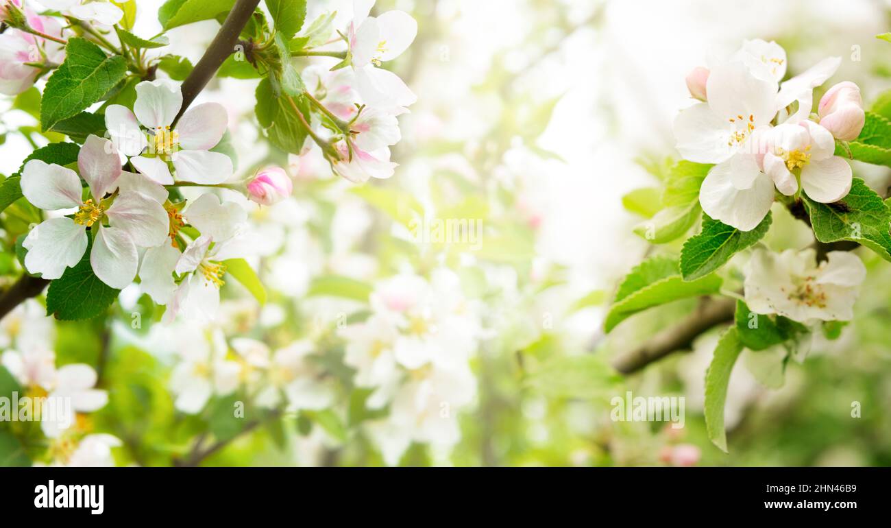 Panorama aspect ratio hi-res stock photography and images - Alamy