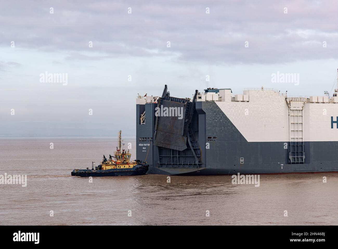 Hoegh trotter hi-res stock photography and images - Alamy