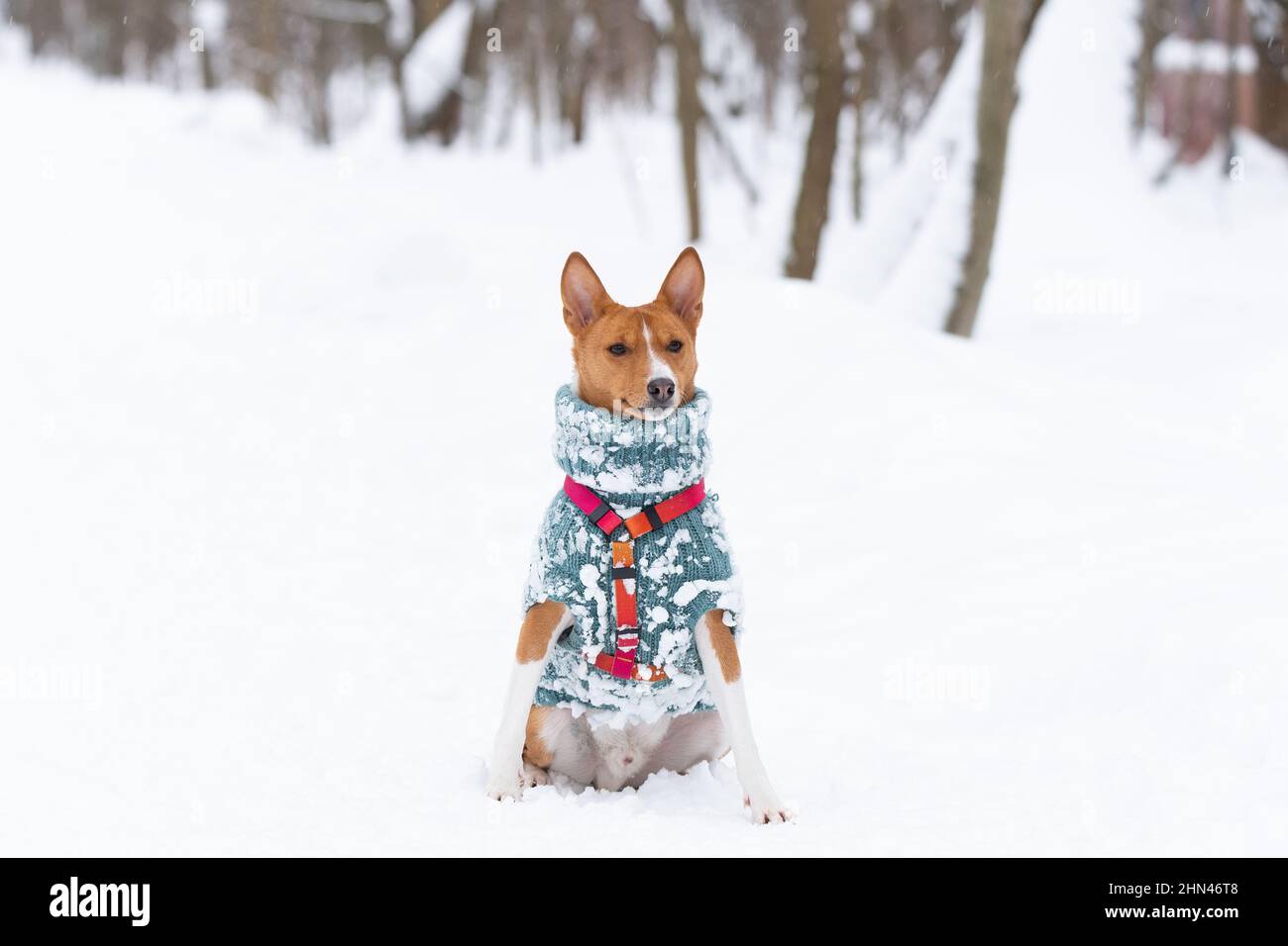 Cold season in congo hi-res stock photography and images - Alamy