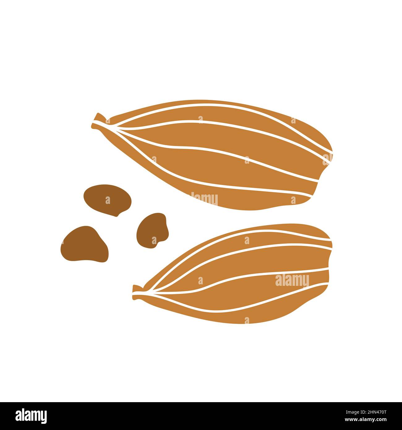 Cardamom icon. Botanical hand drawn icon for labels and packages in ...