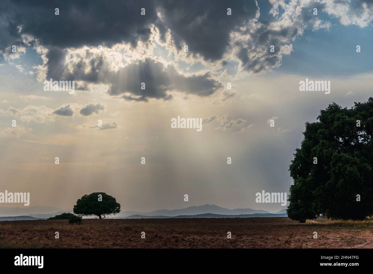 Rays of sun passing through a cloud illuminating a field with trees ...