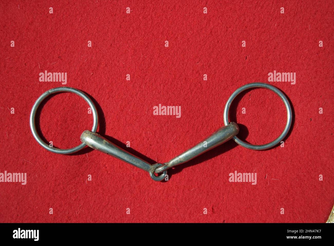 Domestic horse. Bridoon bit. Studio picture on red background Stock ...