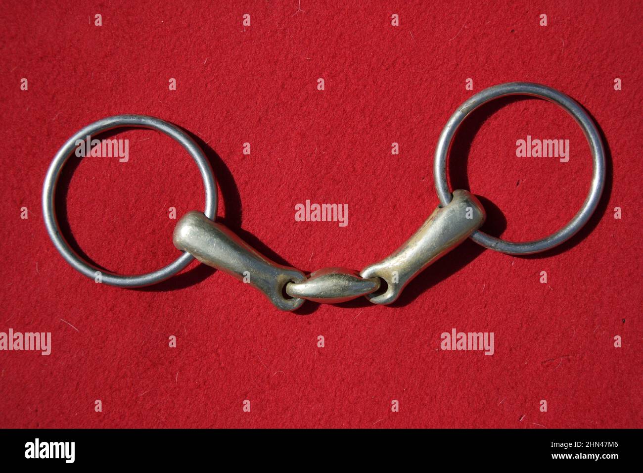 Domestic horse. Double jointed snaffle bit. Studio picture on red ...