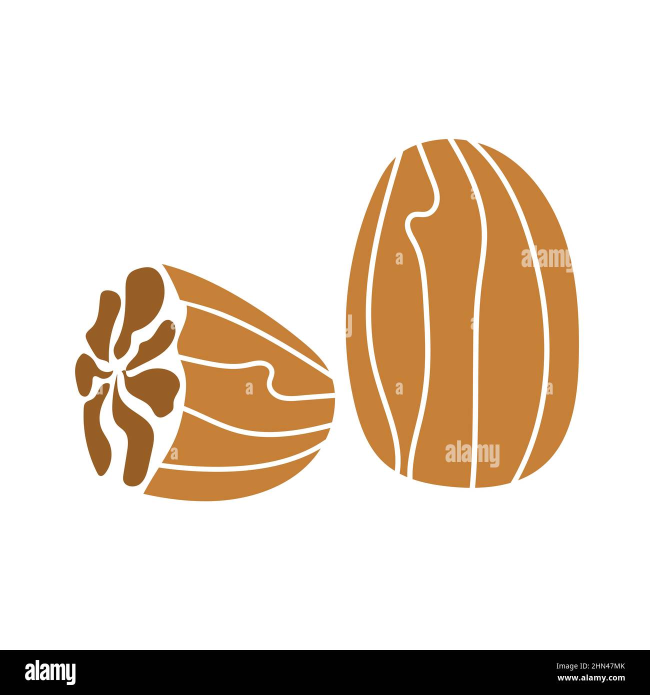 Nutmeg, hand drawn graphic element for packaging design of nuts and ...
