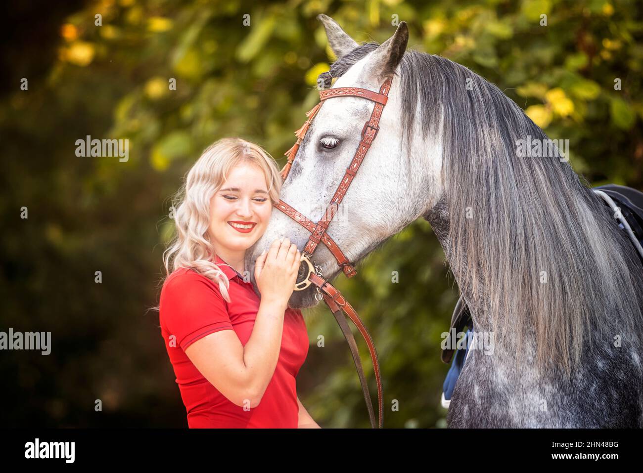 Grey warlander mare hi-res stock photography and images - Alamy