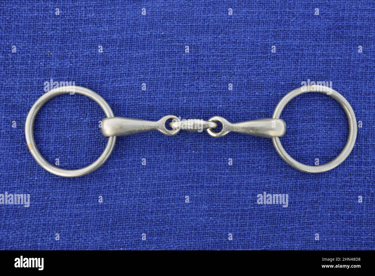 Domestic horse. Double jointed snaffle bit. Studio picture on blue ...