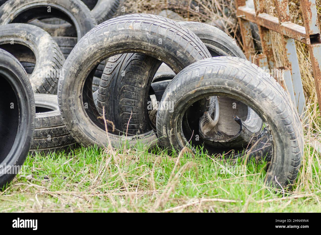 A pile of damaged, old, discarded, car tires for recycling Stock Photo - Alamy