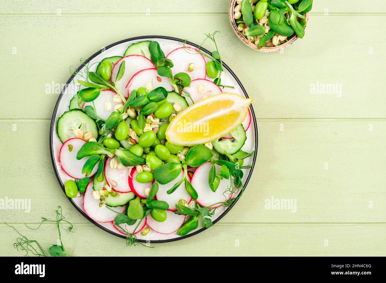 Spring salad plate with radish, cucumber, green pea, sunflower, soy and ...