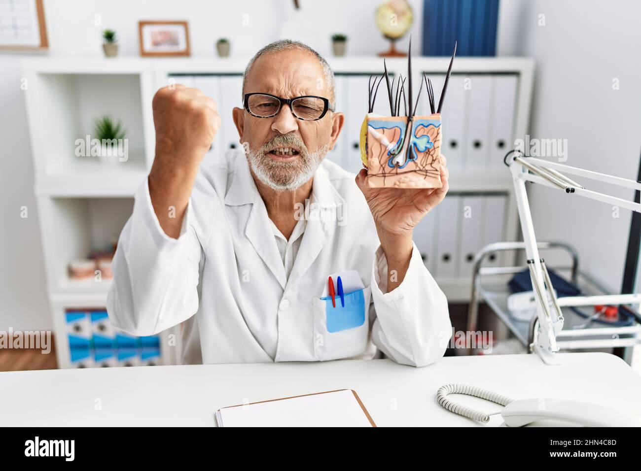 Mature doctor man holding model of human anatomical skin and hair ...