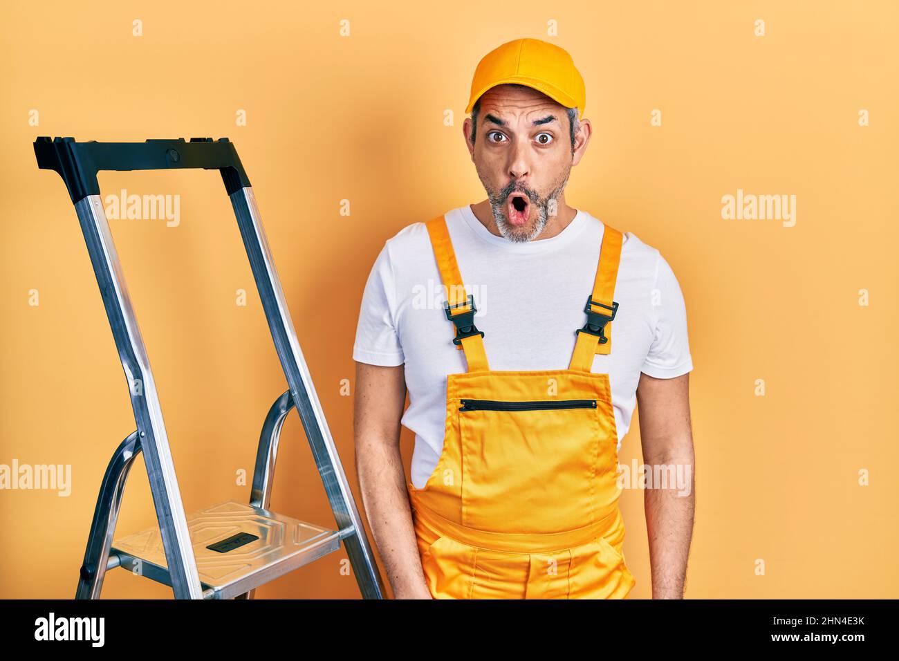 Handsome middle age man with grey hair holding ladder afraid and ...