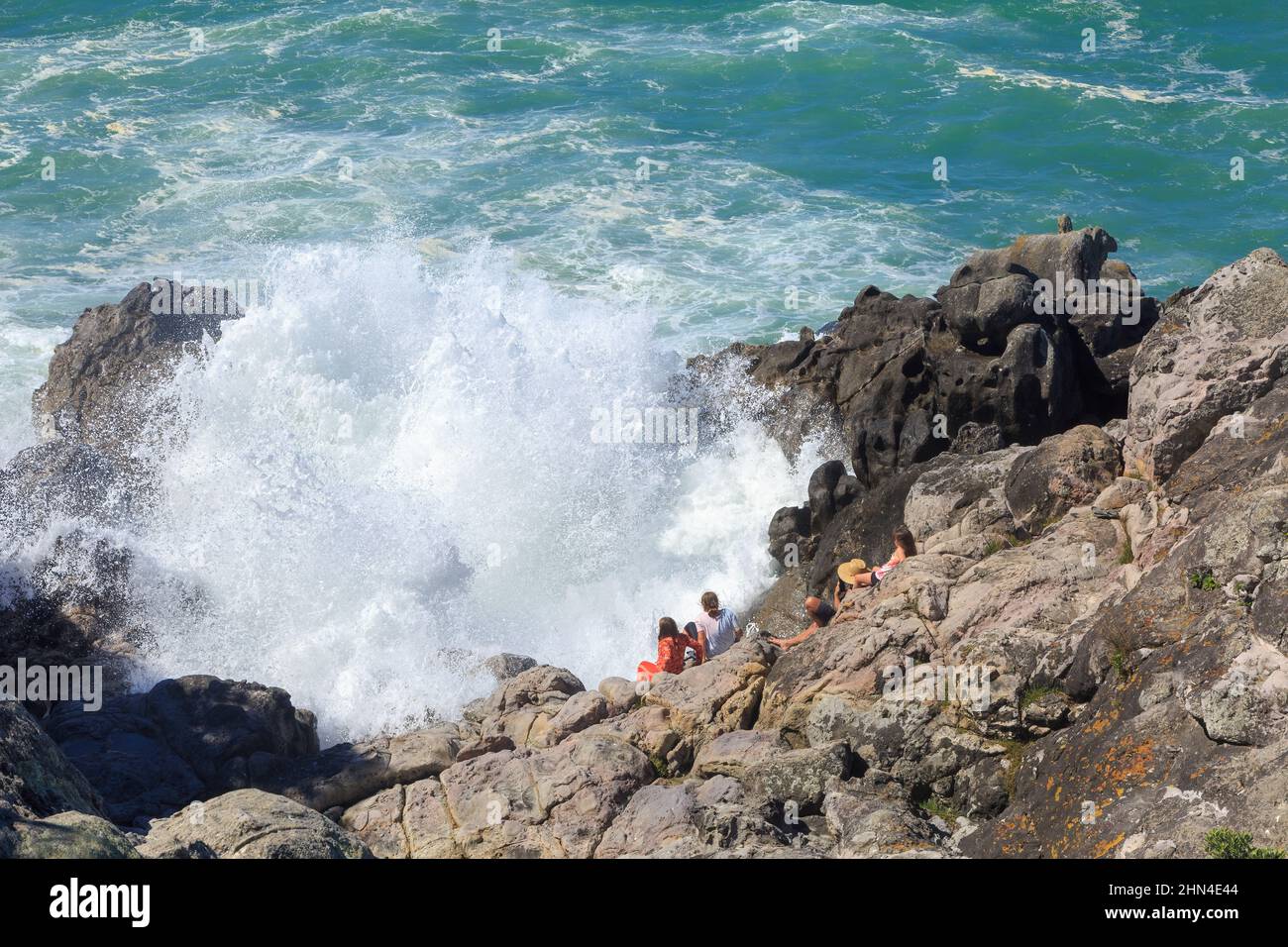 Moturiki island new zealand hi-res stock photography and images - Alamy