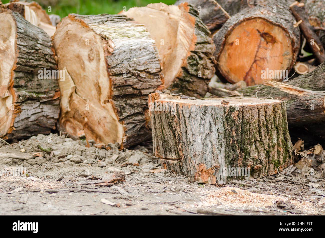 Log material hi-res stock photography and images - Alamy