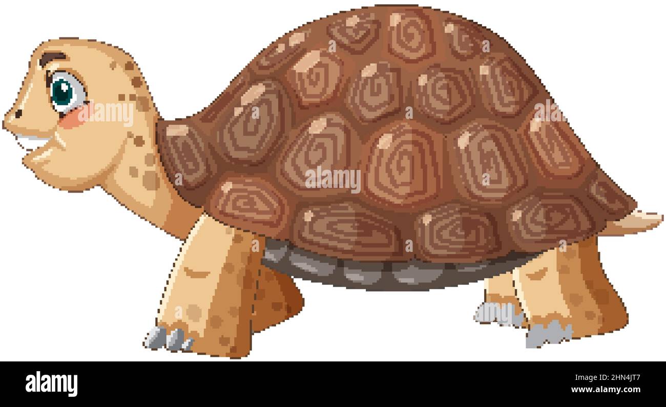 Side view of tortoise with brown shell in cartoon style illustration ...