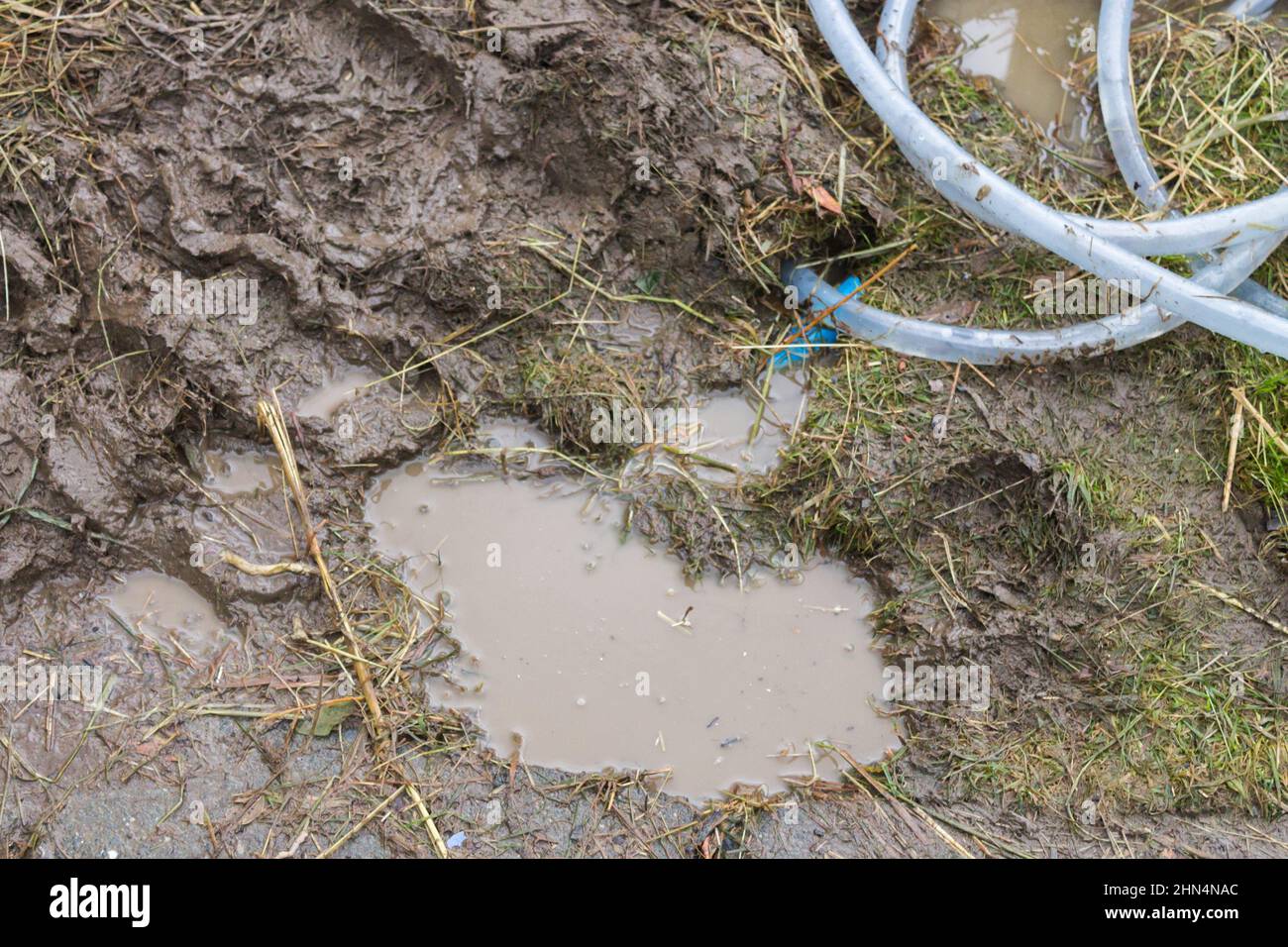 Wellington, New Zealand. February 13, 2022: Puddles and Mud after ...