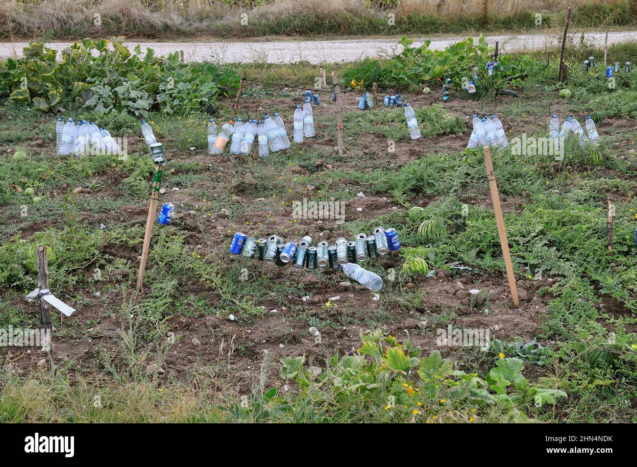 Bird scaring lines hi-res stock photography and images - Alamy