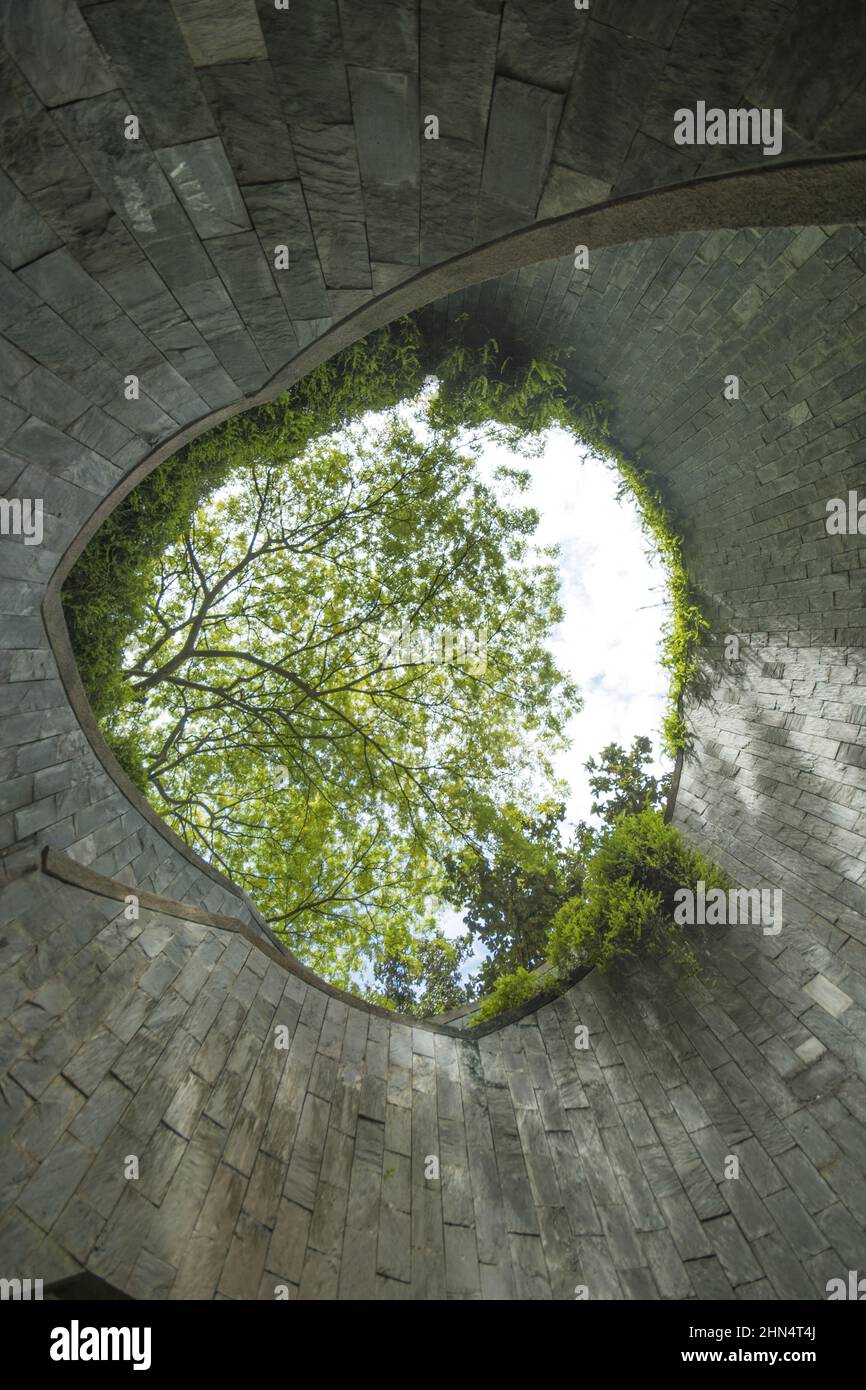Giant tree and underground spiral staircase at Fort Canning Park Stock ...