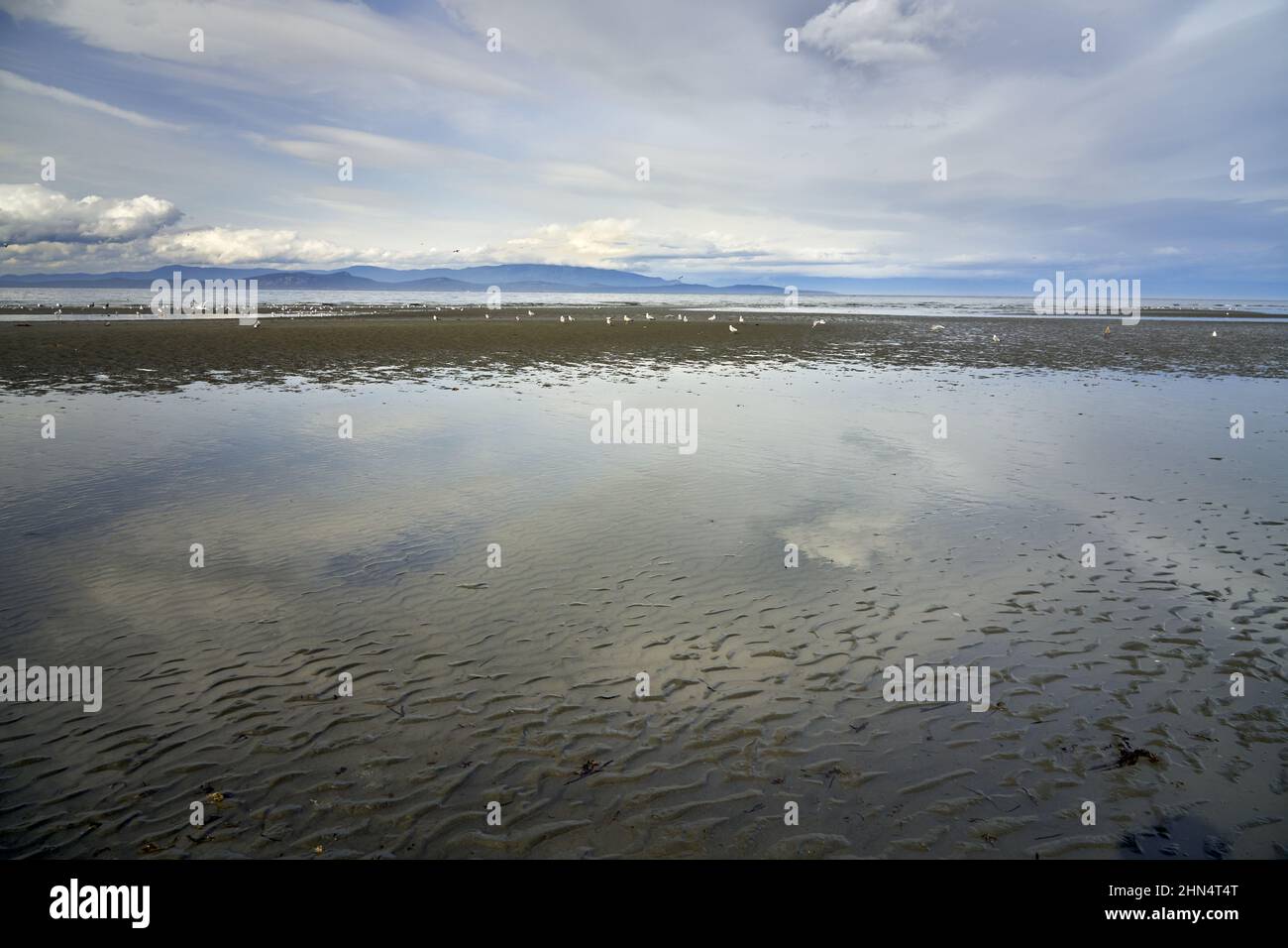 Beach at low tide showing refections of clouds in the tide pool and ...