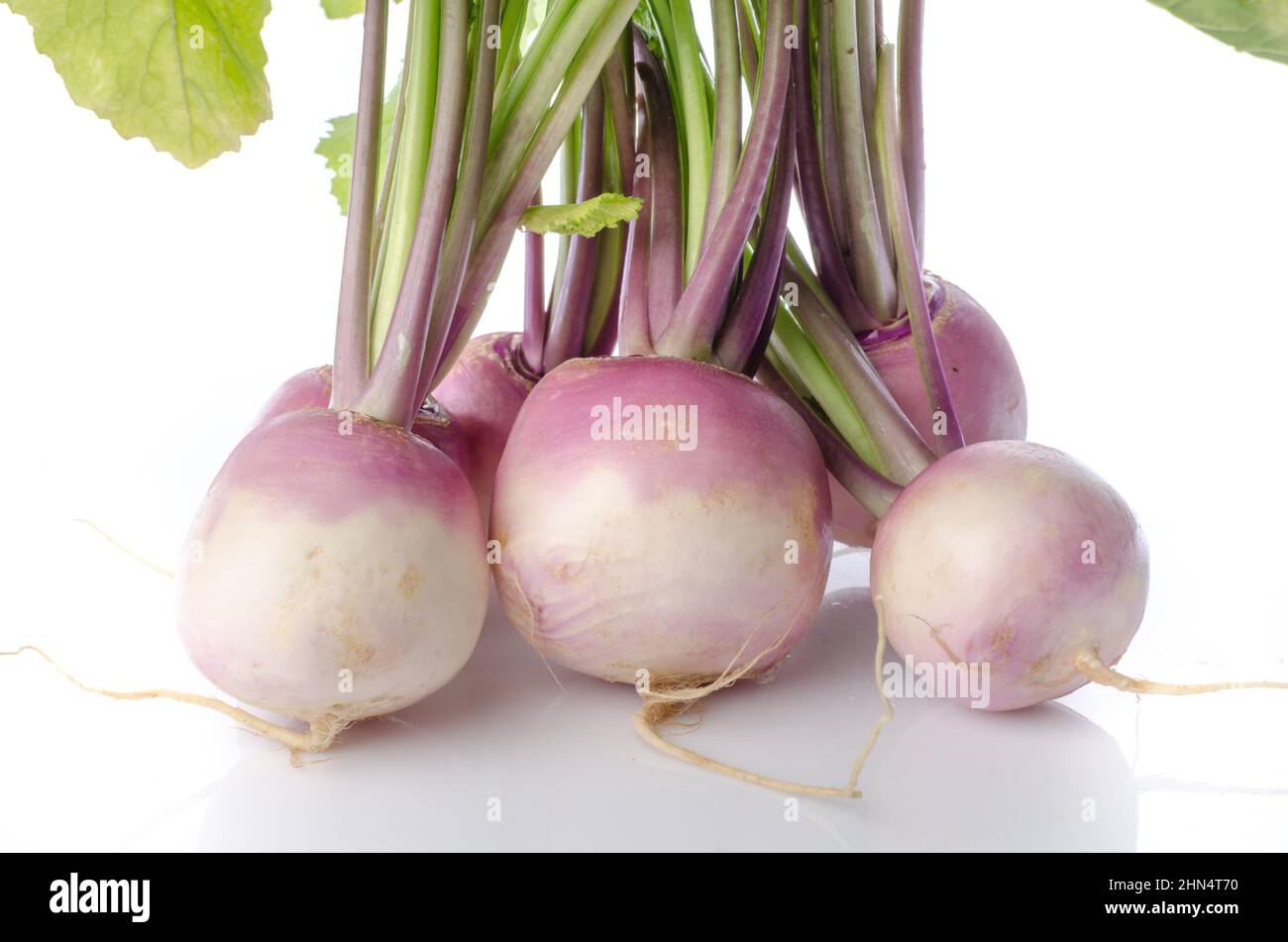 Bunch of fresh turnips, isolated on white Stock Photo - Alamy