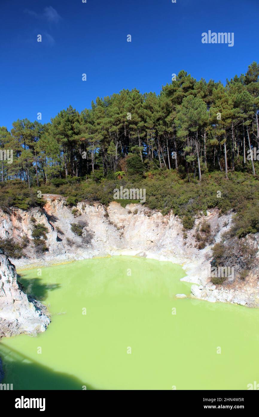 Devil's Bath, Waiotapu Thermal Wonderland, Rotorua, North Island, New ...