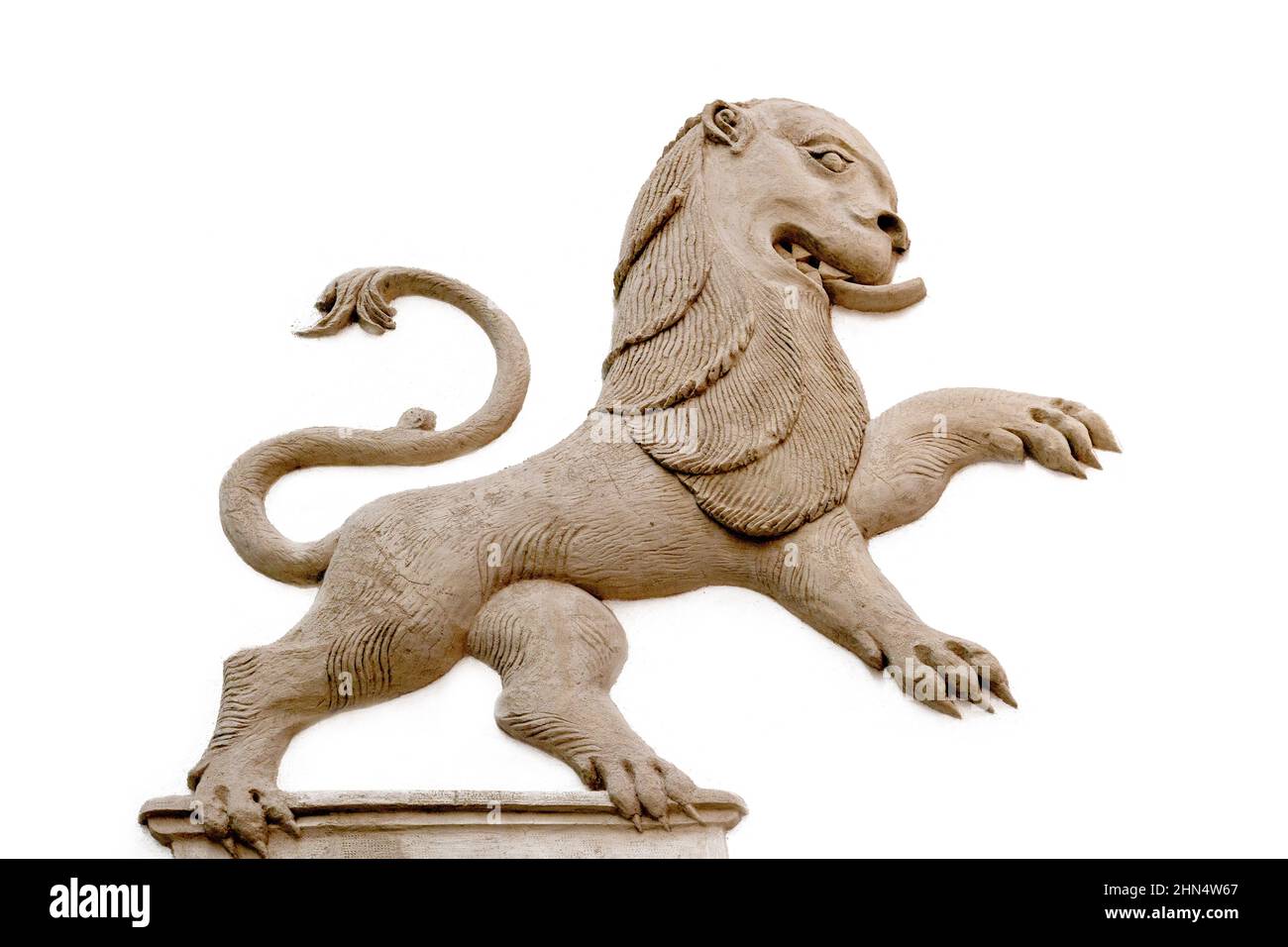 Lion Standing On Hind Legs