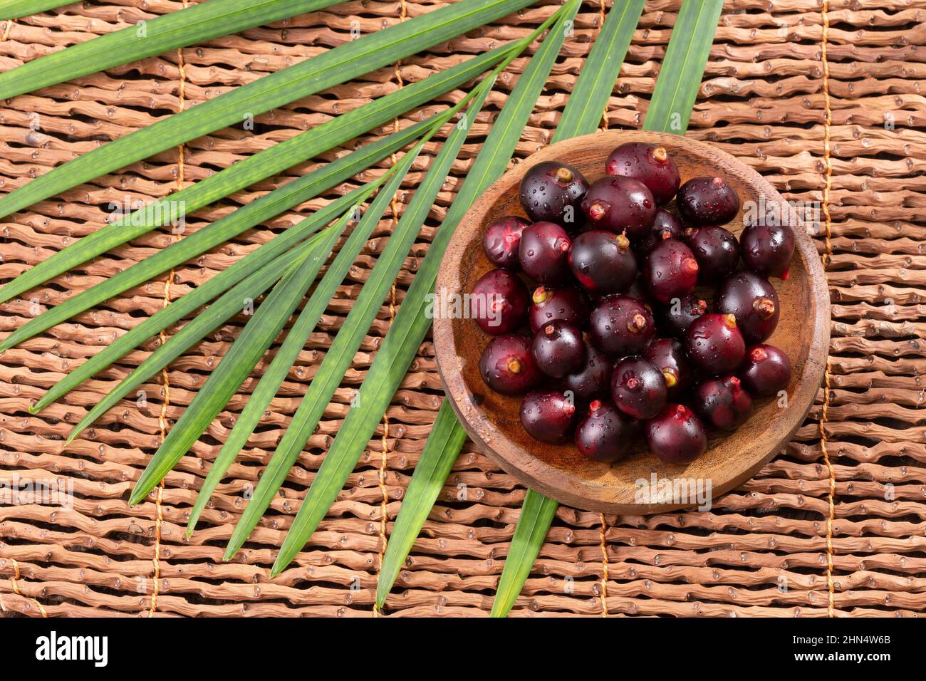 Euterpe oleracea - Acai Fruit Of The Palm Manaca Stock Photo - Alamy
