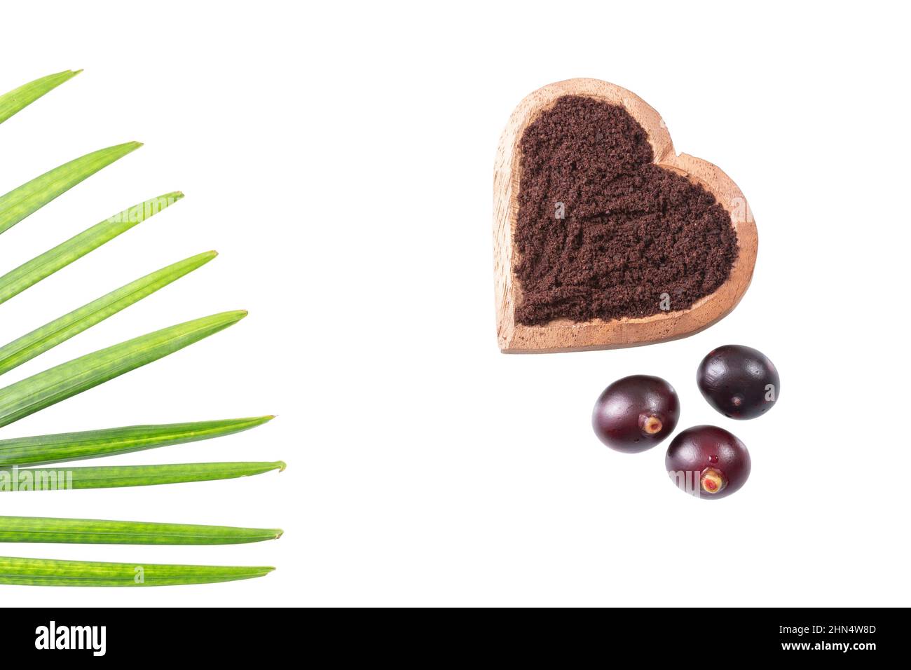 Euterpe Oleracea - Berries And Acai Powder From The Amazonian Fruit ...