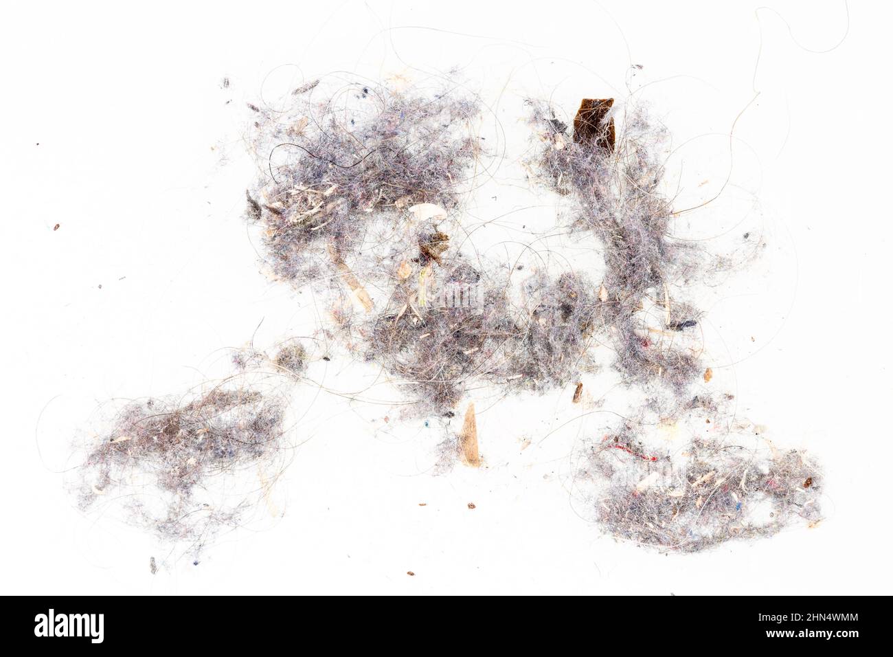Messy dust Cut Out Stock Images & Pictures - Alamy