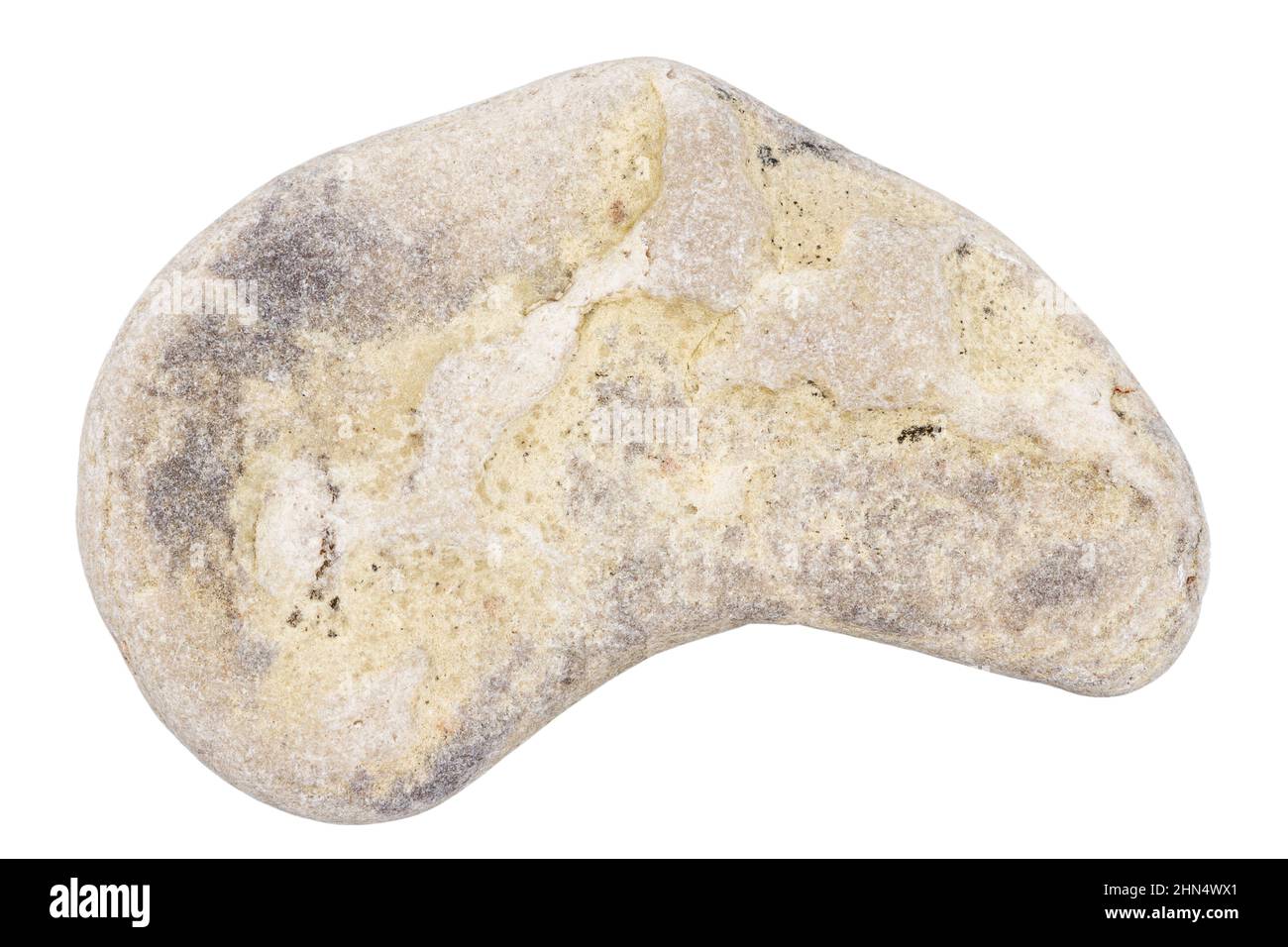 Top view of single gray pebble isolated on white background Stock Photo ...