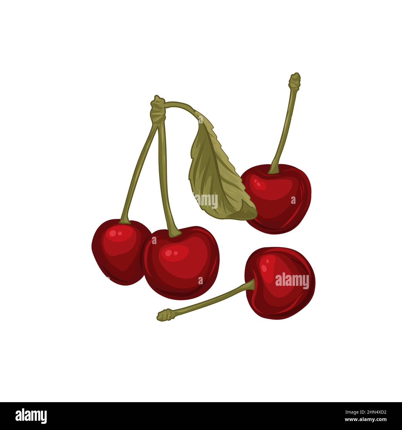 Hand drawn cherries isolated on white background Stock Vector Image ...