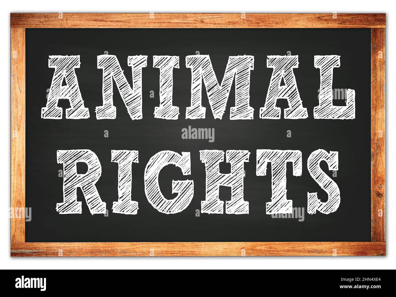 ANIMAL RIGHTS written on black wooden frame school blackboard Stock ...