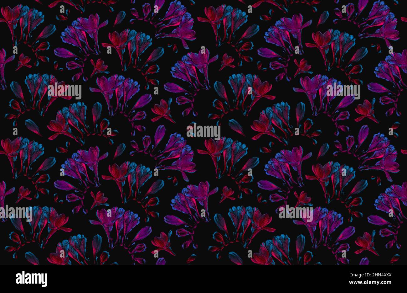 Freesia flowers seamless pattern illustration, pink and blue neon ...