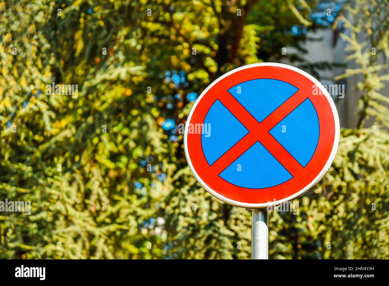 No Stopping and No parking sign on tree background Stock Photo - Alamy