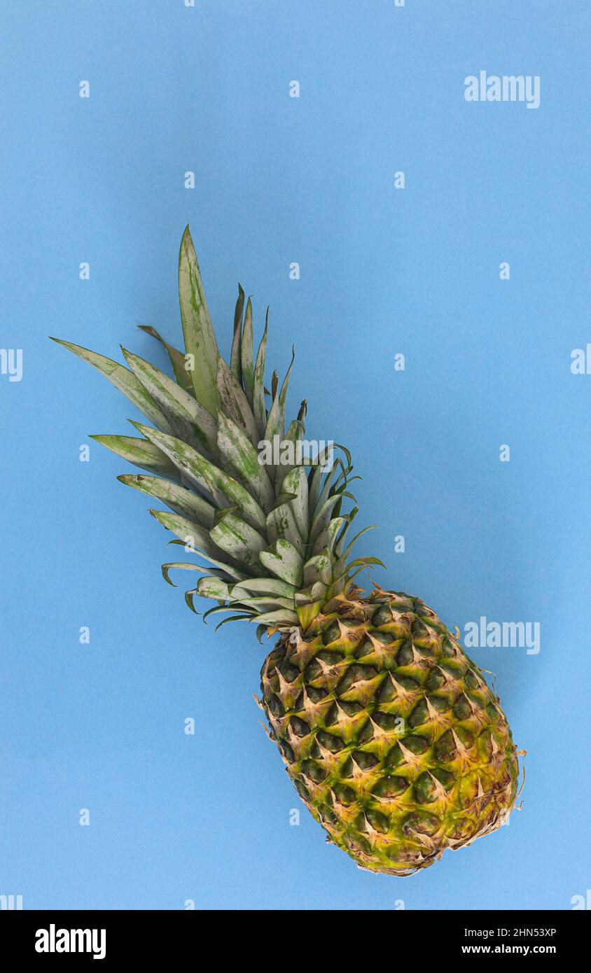 Fresh organic pineapple on pastel bright blue background. Flat lay ...