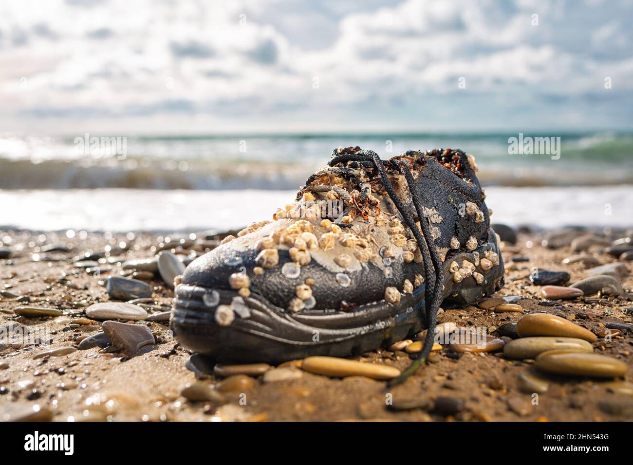 Concept of environmental protection and pollution. An old Shoe, covered ...