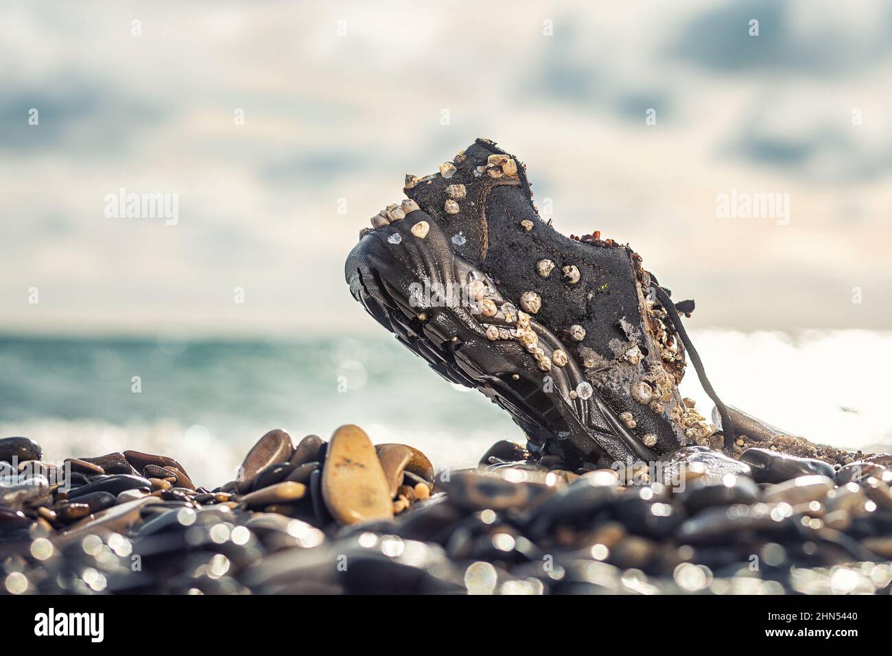 Concept of environmental protection and pollution. An old Shoe, covered ...